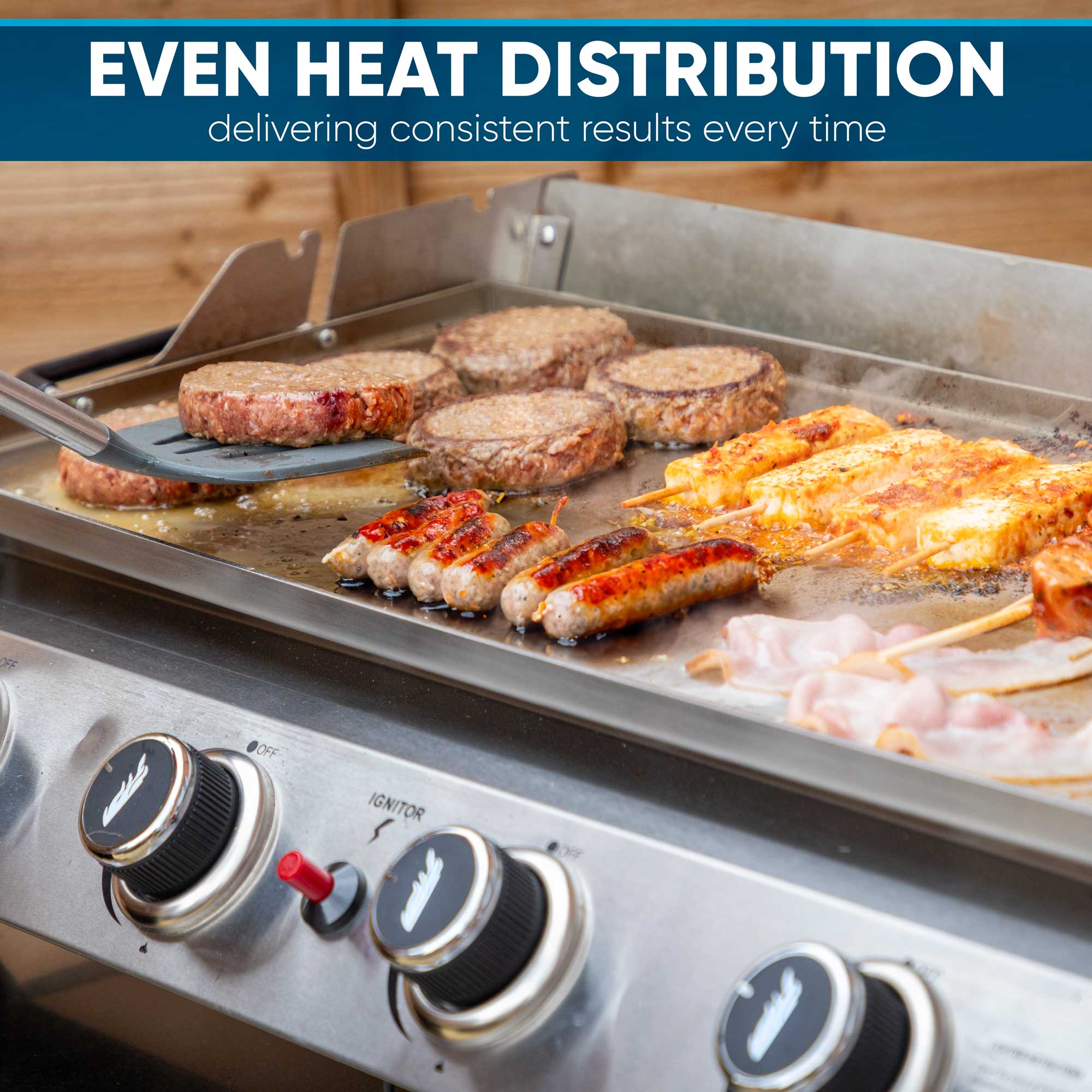 4 Burner Stainless Steel Portable Gas Plancha with Warming Rack 10kW ...